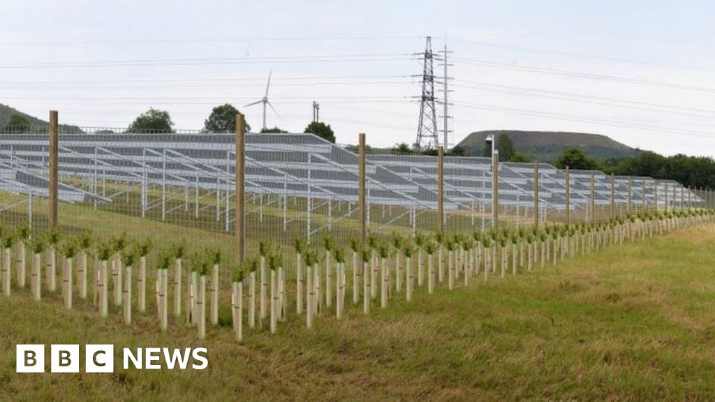 Massive solar farm in mid-Cornwall narrowly approved - BBC News
