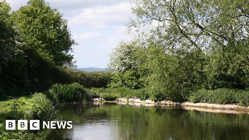 Stroud canal £15m restoration bid to be submitted - BBC News