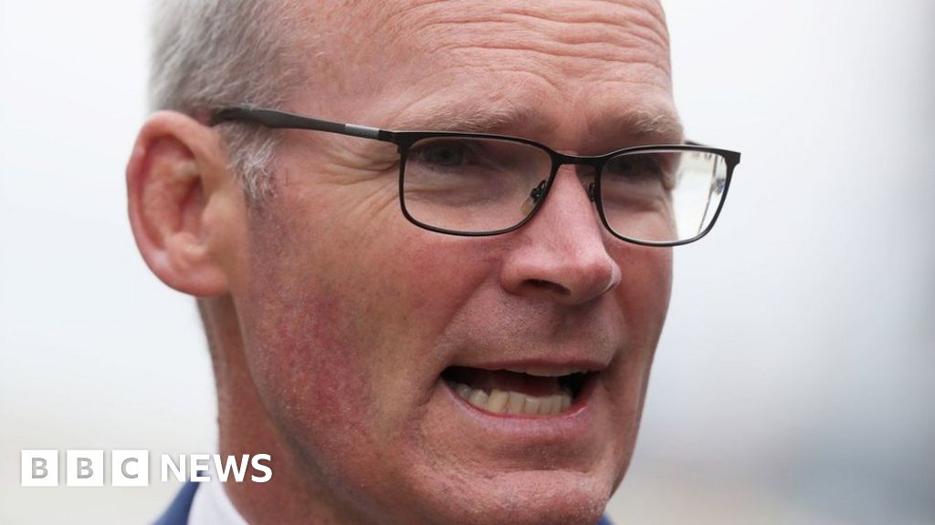 Q&A: The Simon Coveney appointment row - BBC News