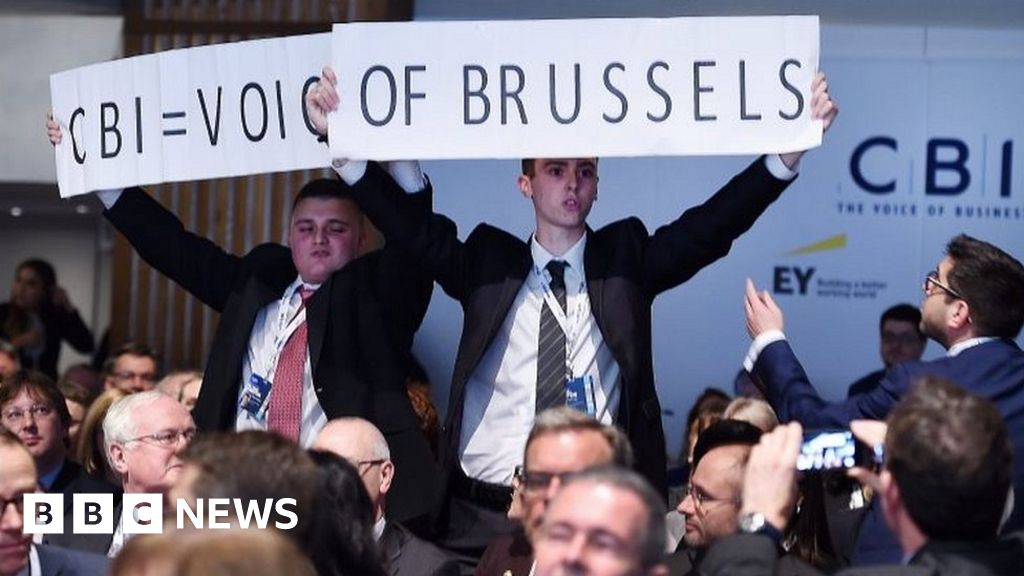 Pickles accuses anti-EU campaign group of 'nasty tactics' - BBC News