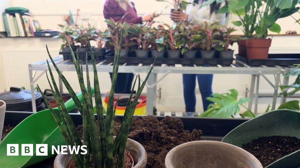 Cranbrook horticultural project helps prisoners gain skills