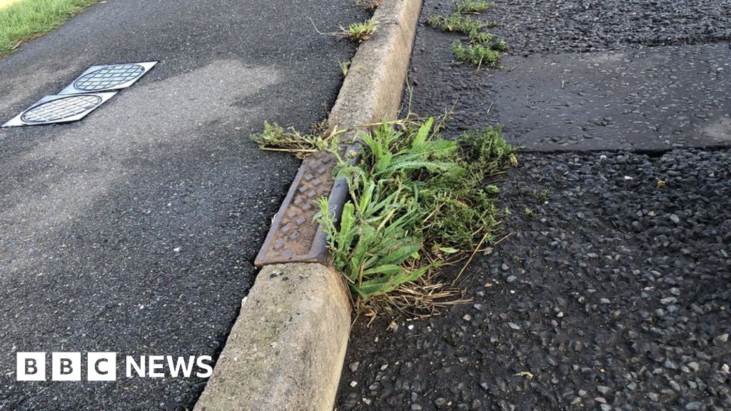 Town council to tackle street weeds over drain block fears - BBC News