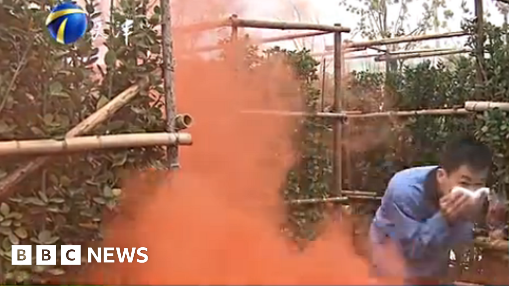 China: Fire safety theme park attracts visitors - BBC News