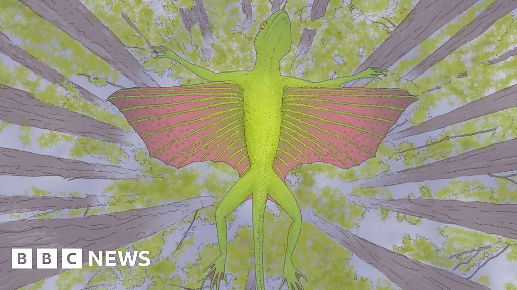 Flying reptiles 'lived in pre-historic' Somerset hills - BBC News