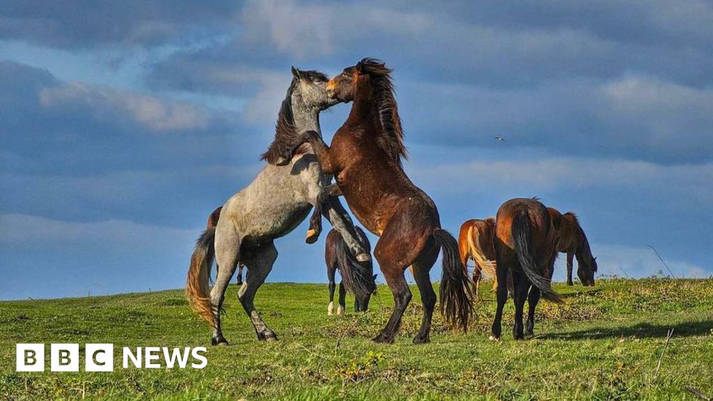 Sussex: Our favourite images of the week - BBC News