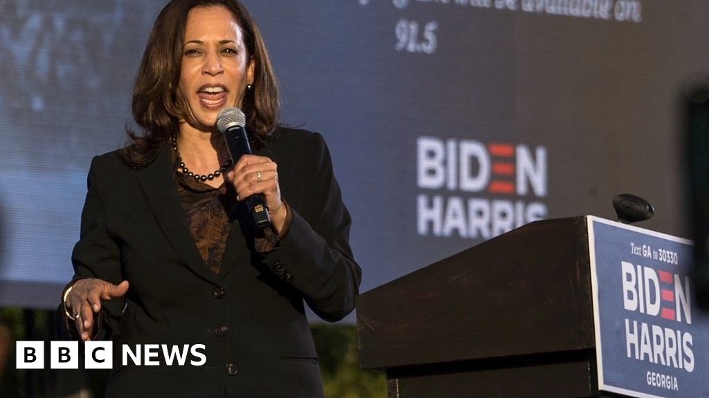 US Election 2020: ‘Minority vote is what’s supporting the Democrats ...