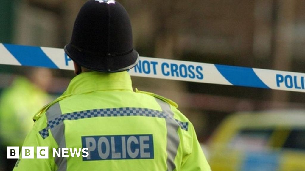 News Daily: Are police being checked? - BBC News