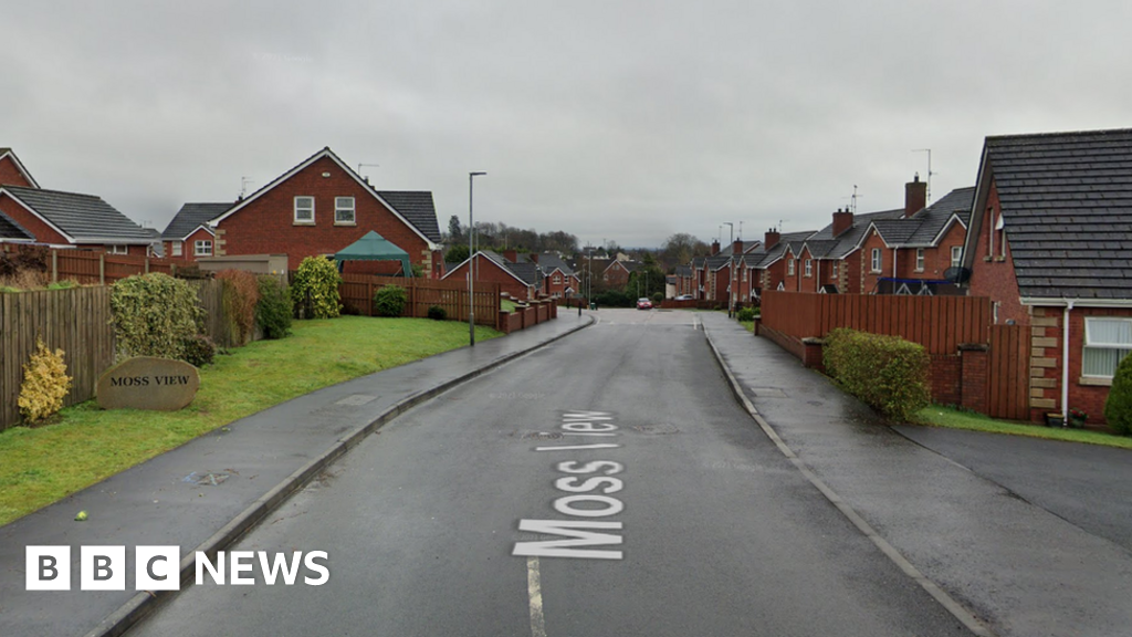 Waringstown: Man in his 60s dies after being hit by lorry - BBC News