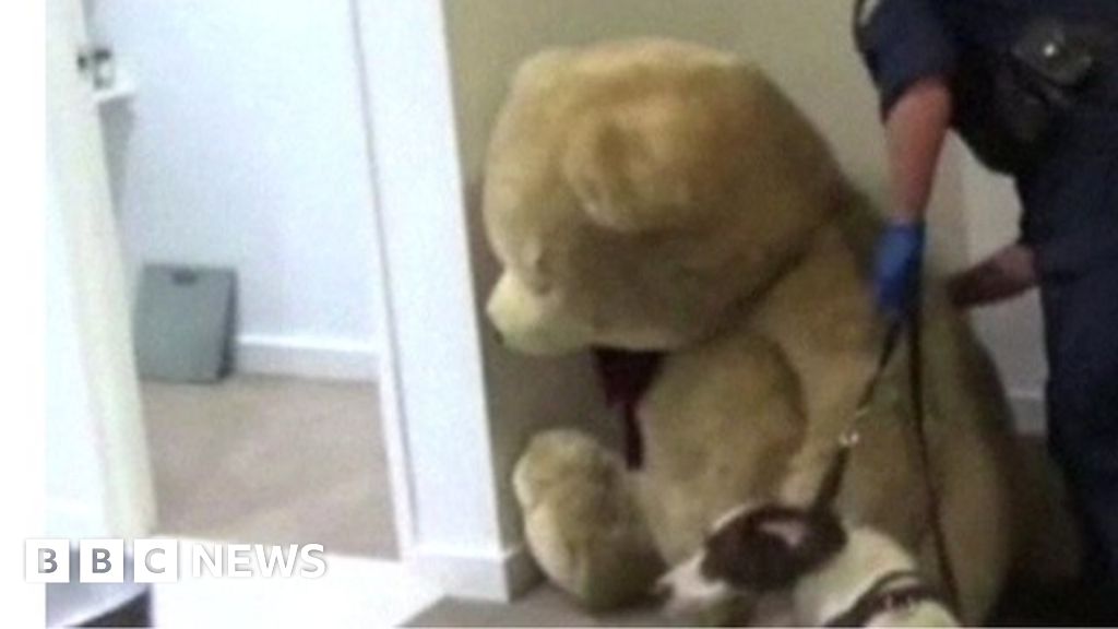 Police find guns in giant teddy bear - BBC News