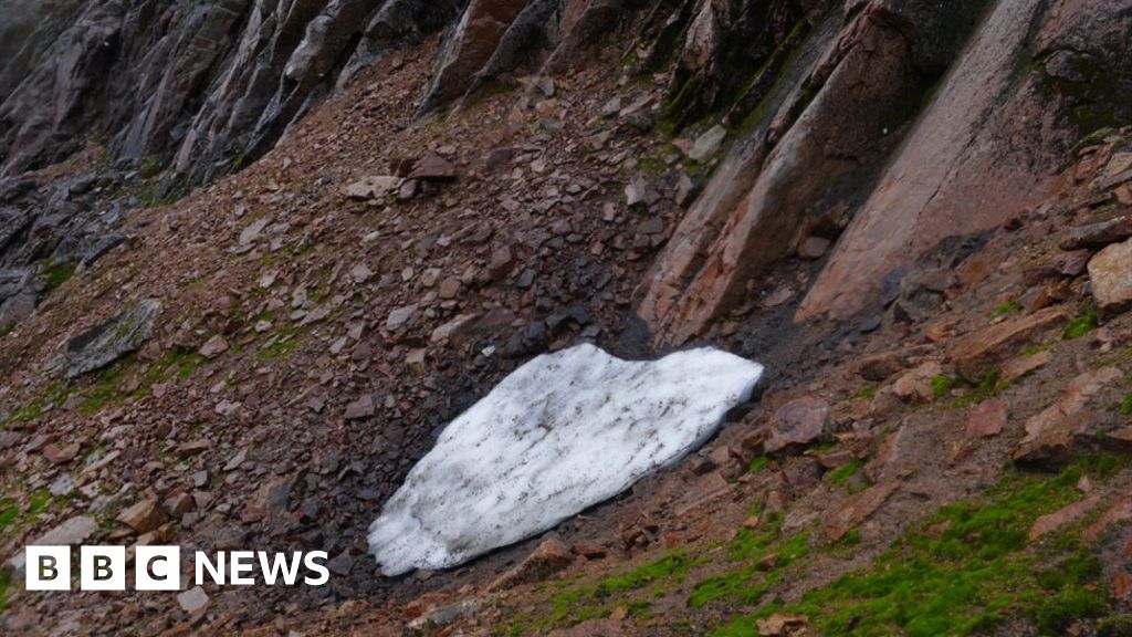Scotland's oldest snow patch expected to melt - BBC News