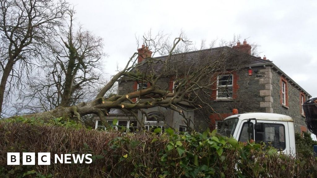 Storm Clodagh: Thousands without power in Republic of Ireland - BBC News