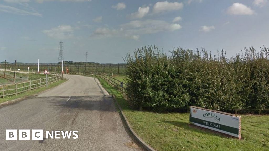 Suffolk Copella juice factory gets green light for expansion - BBC News