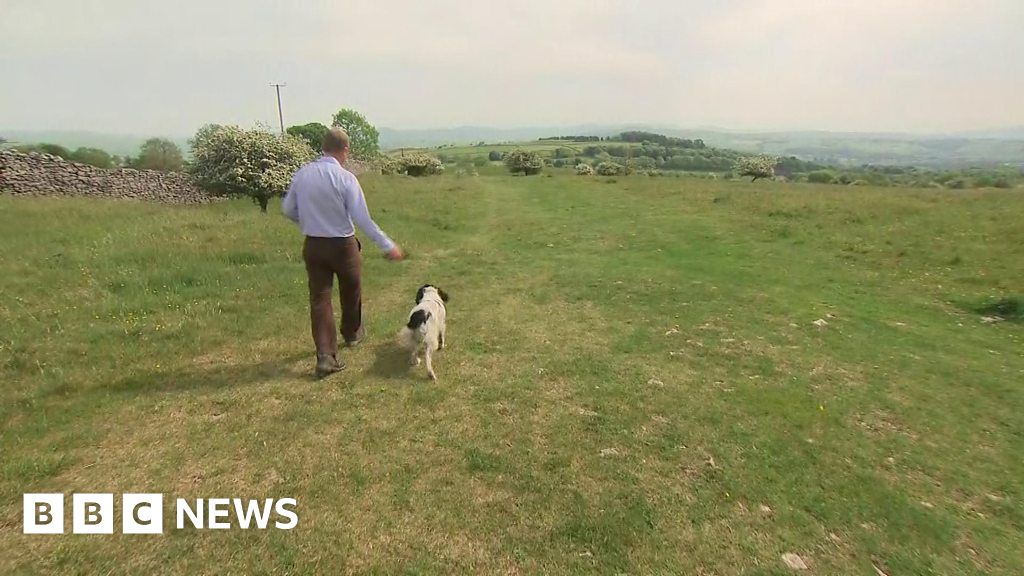 General election 2017: One Liberal Democrat leader and his dog - BBC News