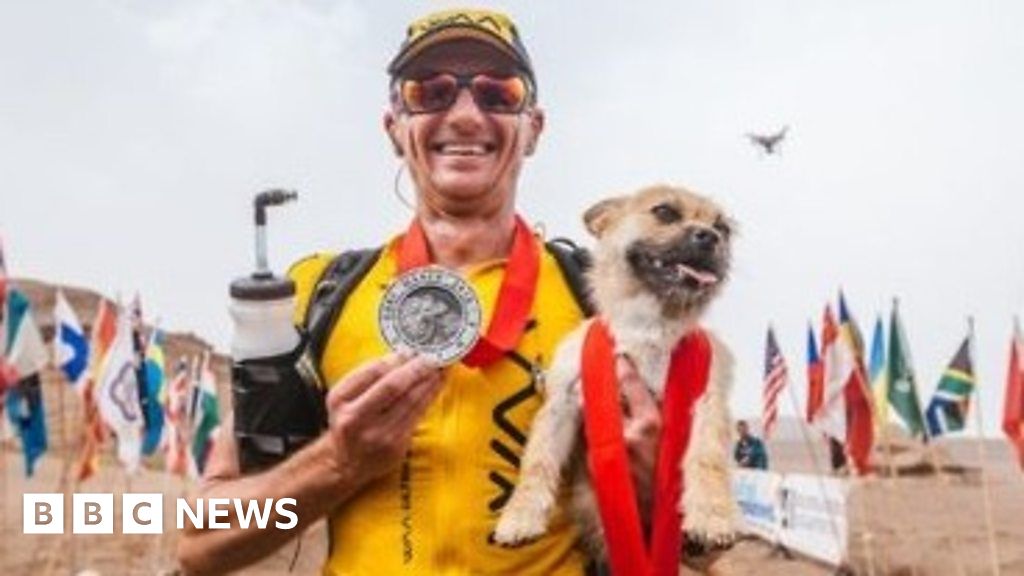 Gobi the dog 'adopted' a runner - BBC News