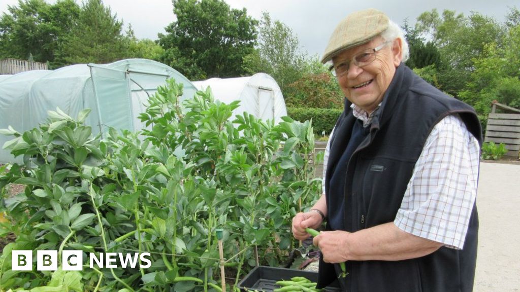 Beechgrove Garden presenter Jim McColl retires after 40 years - BBC News