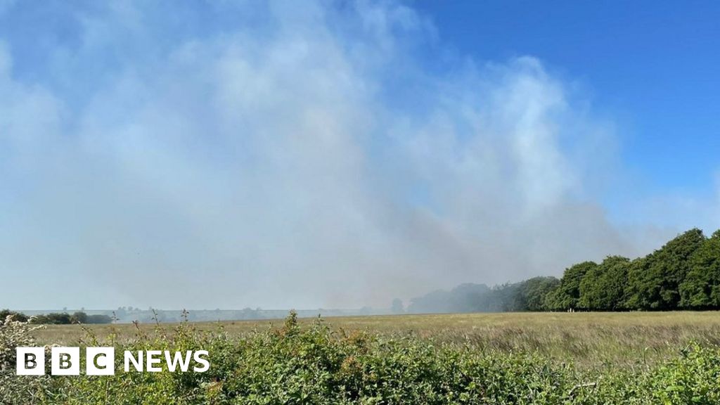 Newcastle Prestwick Carr fire continues to burn near airport - BBC News