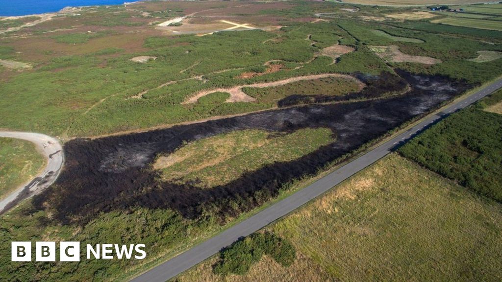 Jersey firefighters tackle 'largest' open land fire of 2015 - BBC News