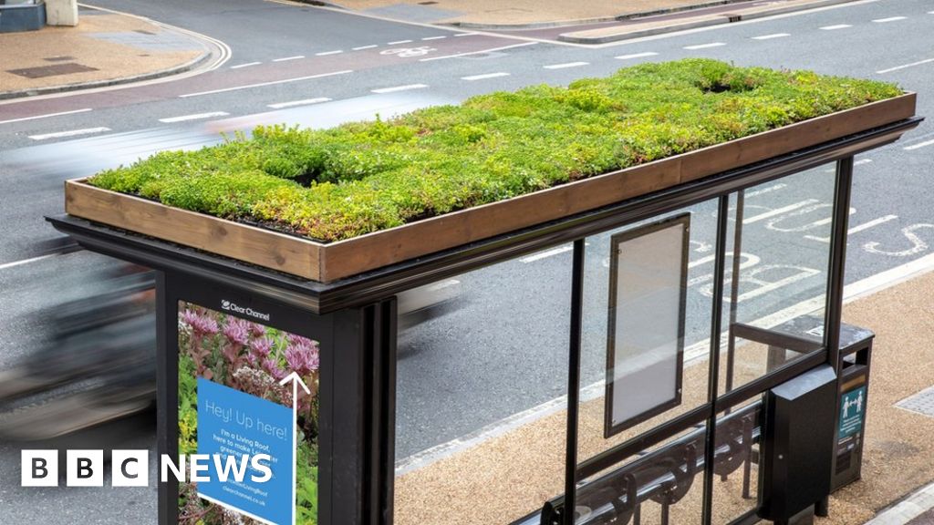 'Bee-friendly' bus stops being installed in Derby city centre - BBC News