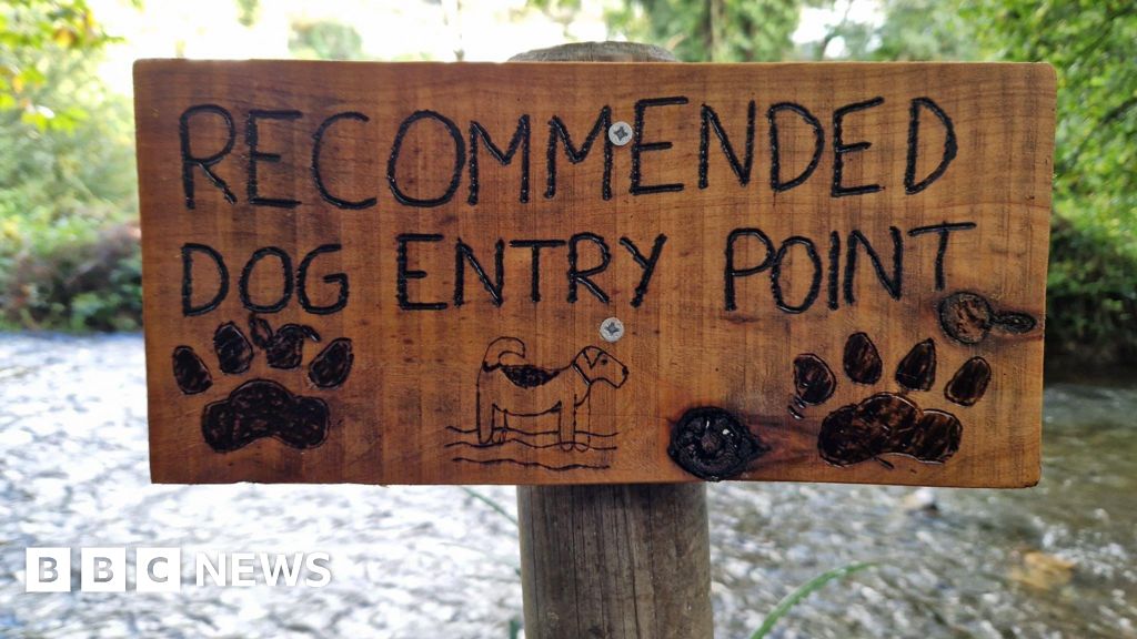Signs show safe dog entry points to Truro rivers