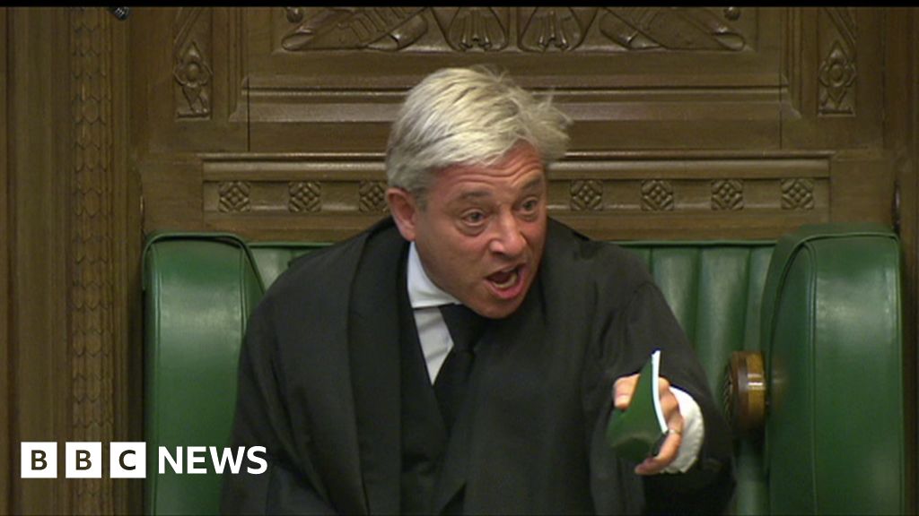 Speaker John Bercow tells MP: Don't argue the toss - BBC News