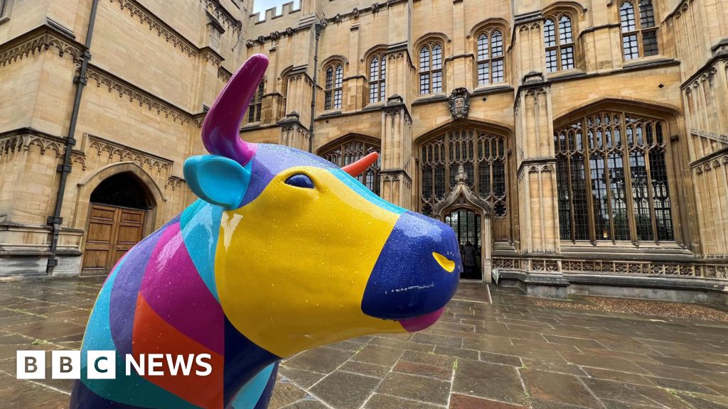 Oxford life-sized charity ox sculpture trail launches - BBC News