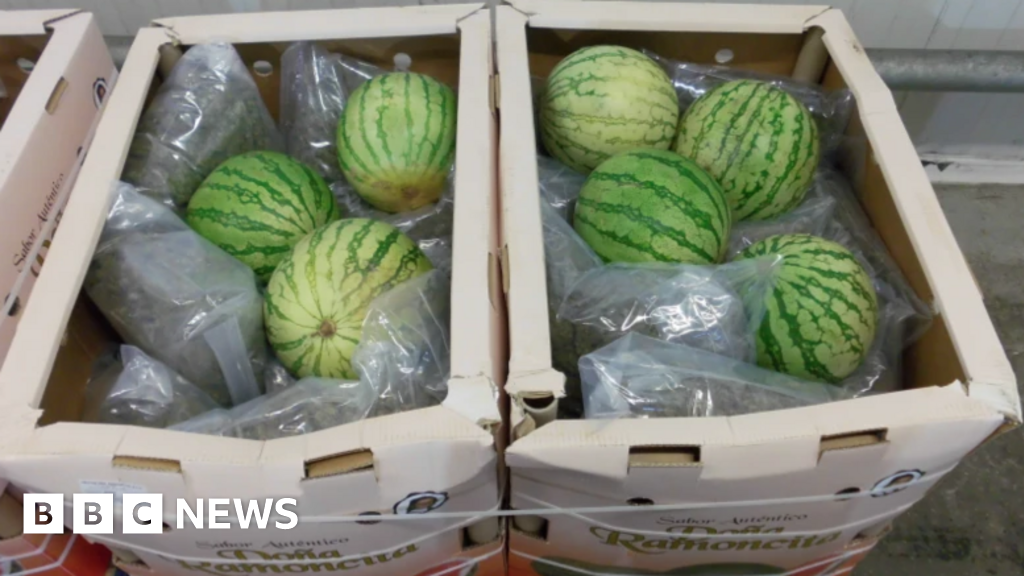 Two jailed over £1.5m bid to smuggle cannabis in watermelon boxes