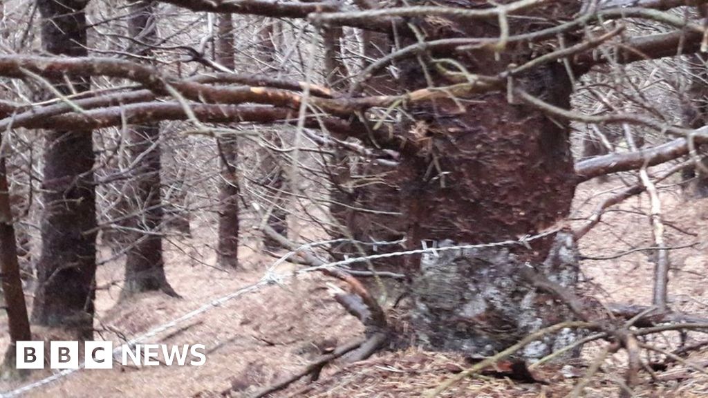 Cyclist injured by barbed wire stretched across path - BBC News