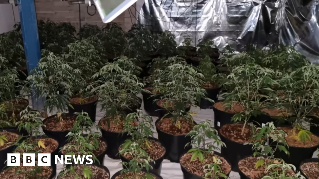 Police Raid On Bilsthorpe Barn Shuts Down Cannabis Factory Bbc News
