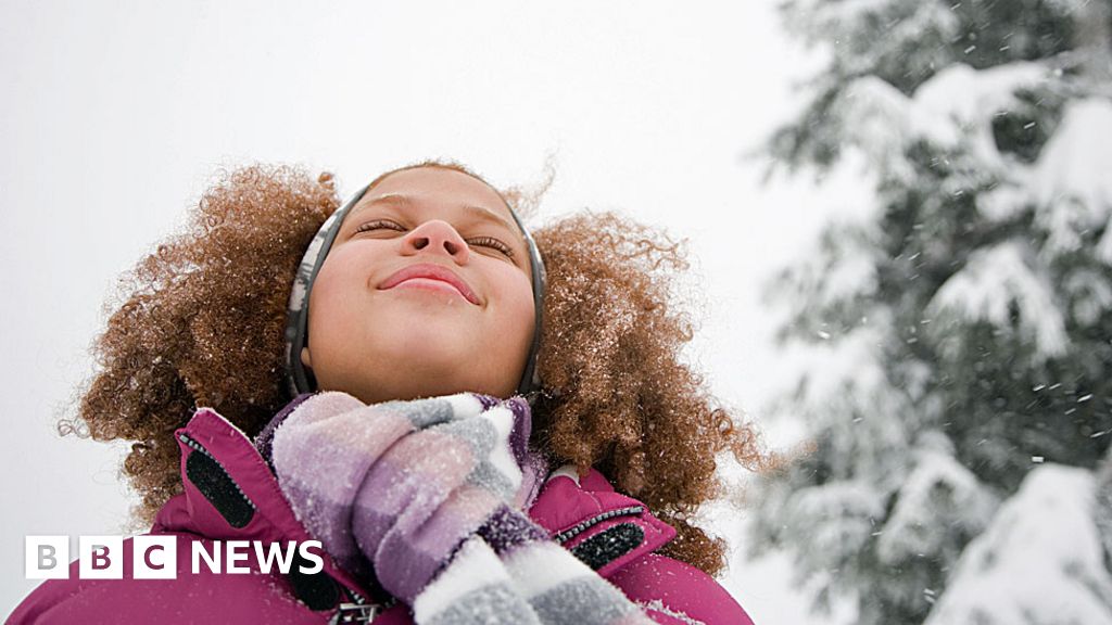 No escape as 'snow day' becomes 'e-learning day' - BBC News