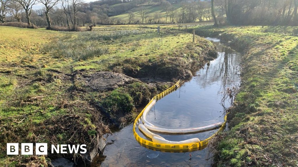 Carmarthenshire diesel spill: Thieves cause river pollution - BBC News