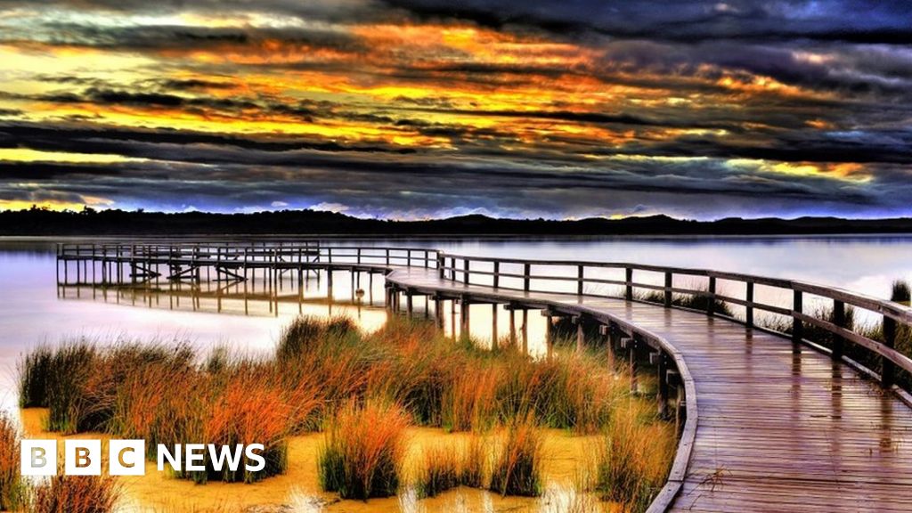 Climate change: 'Wetlands vital to protect cities'