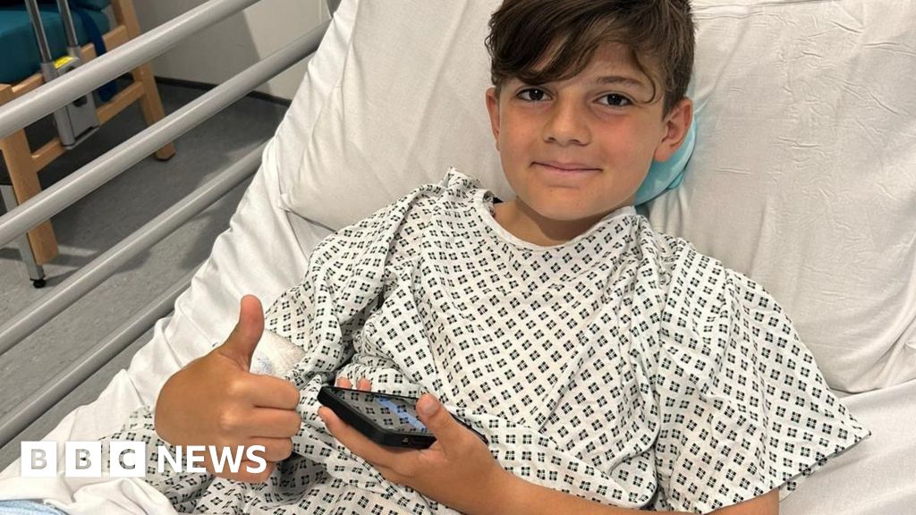 Boy, 11, attacked by XL Bully while protecting younger siblings - BBC News