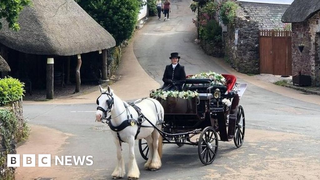 Devon village loses horse-drawn carriage tradition over safety dispute ...
