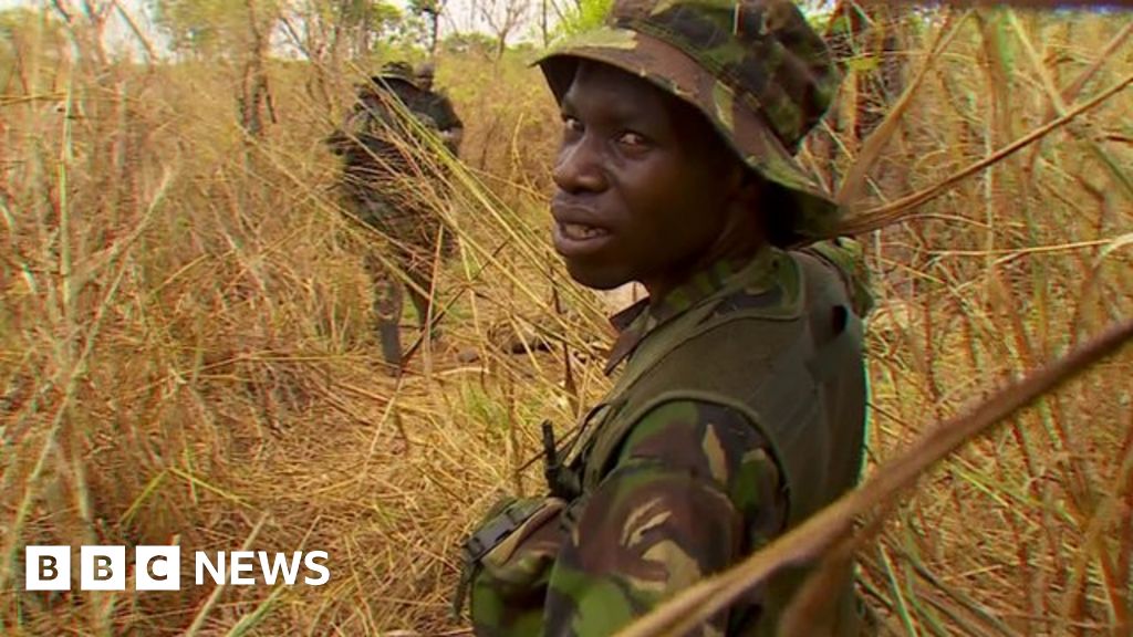 Hunting elephant poachers in Democratic Republic of Congo - BBC News