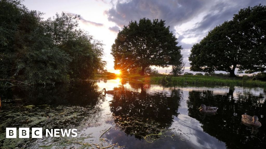 East Anglia pylons: Plan for 112-mile power line published - BBC News