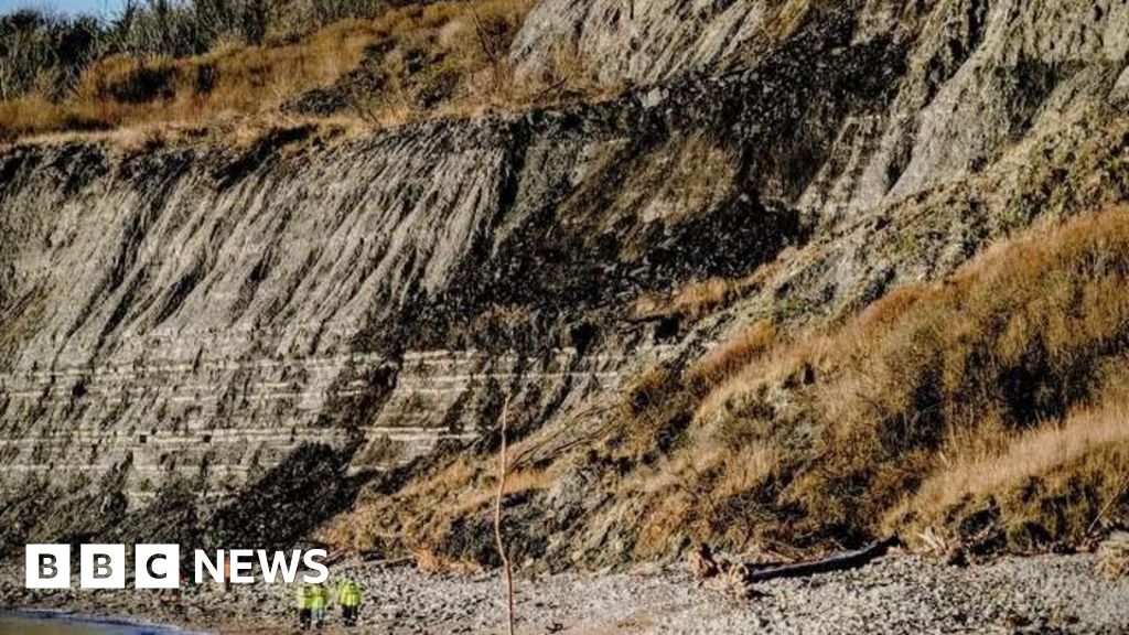 Warning as boulders fall on to Monmouth Beach near Lyme Regis