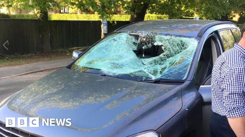 Deer smashes through windscreen and lands in girl's lap - BBC News