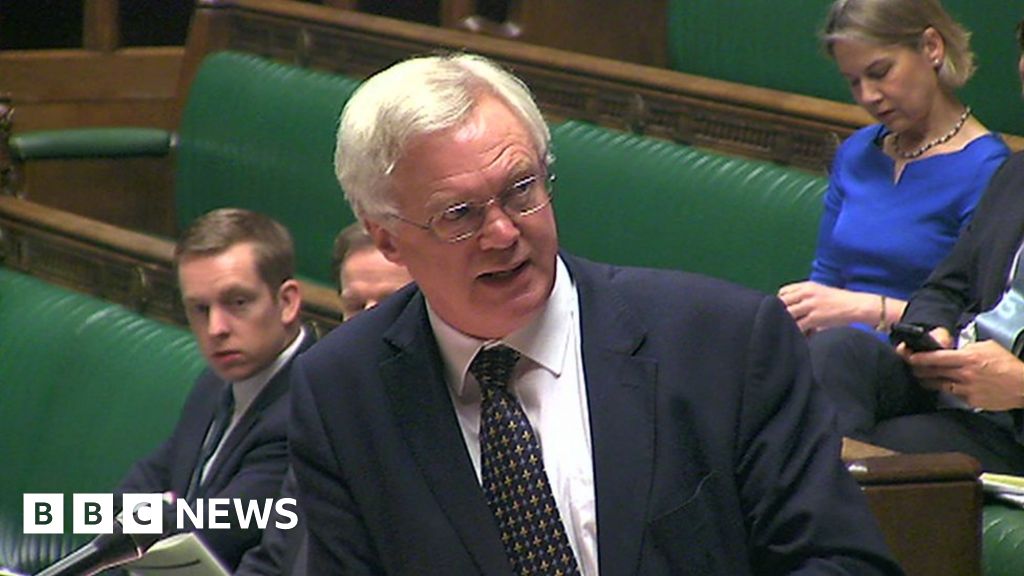 David Davis: UK may pay for access to EU single market - BBC News
