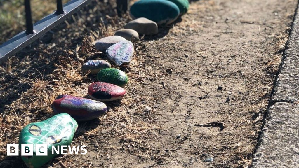 Coronavirus: St Neots 'rock snake' spreads lockdown joy