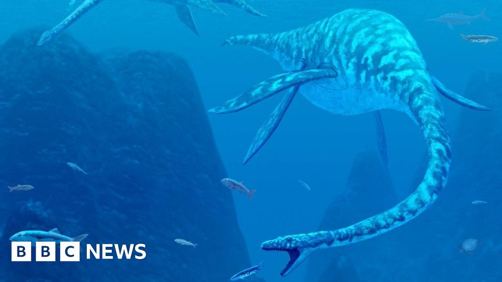 What happens if someone catches the Loch Ness Monster? - BBC News