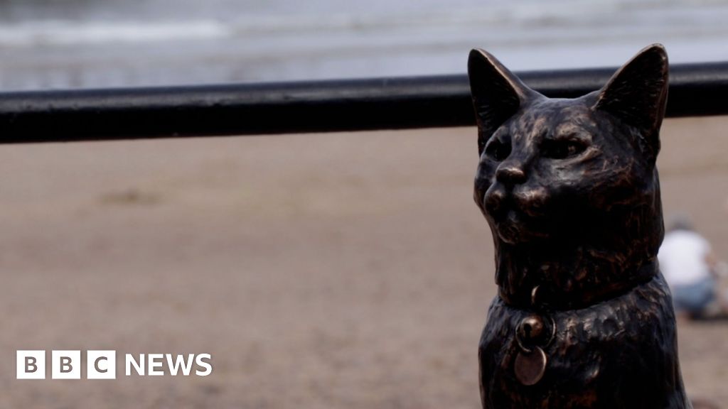 Saltburn's statue to celebrity cat Hendrix - BBC News