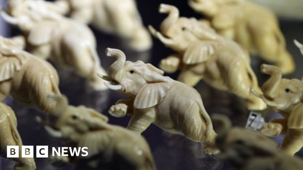 Ivory trade to be banned in UK 'to protect elephants' - BBC News