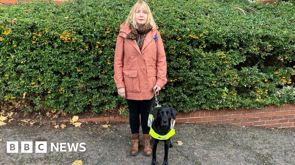 Claydon woman said attacks on guide dog 'truly terrifying' - BBC News