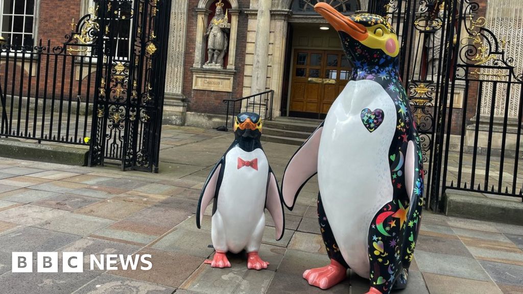 Penguin sculpture trail announced for Worcester - BBC News