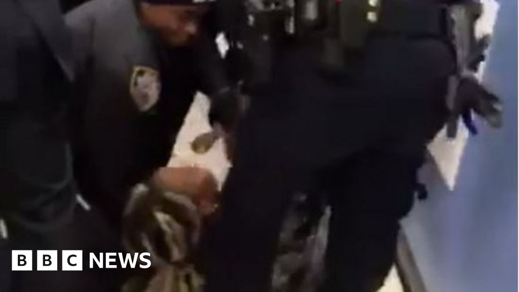 'Troubling' video shows NY police grabbing child from mum - BBC News