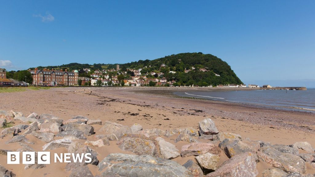 Plans to bring back dog ban on Minehead beach - BBC News