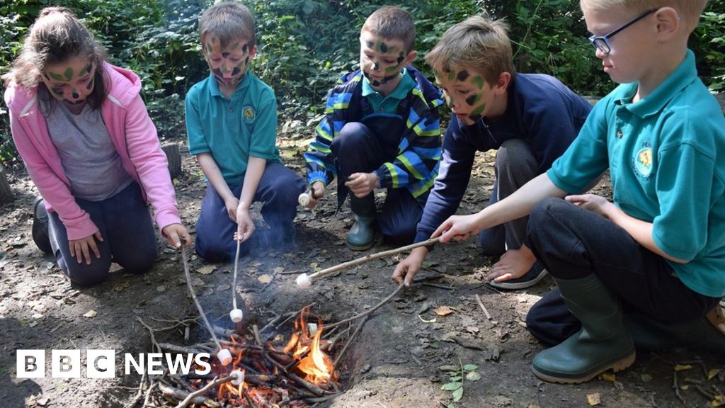 Pencoed Primary School wins woodland classroom award - BBC News