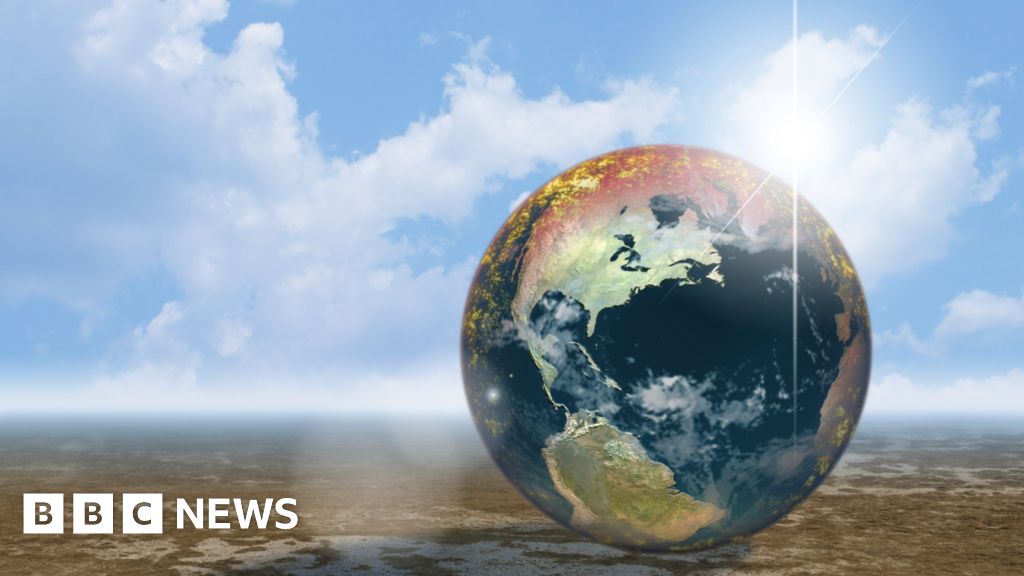 Is there an economic case for tackling climate change? - BBC News