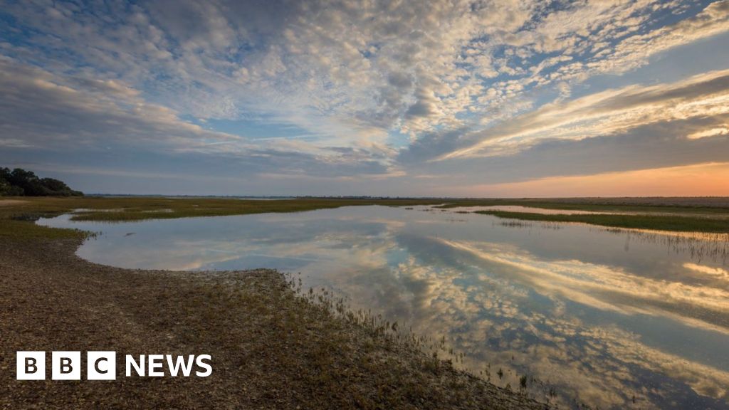 British salt marshes 'to disappear' as sea levels rise