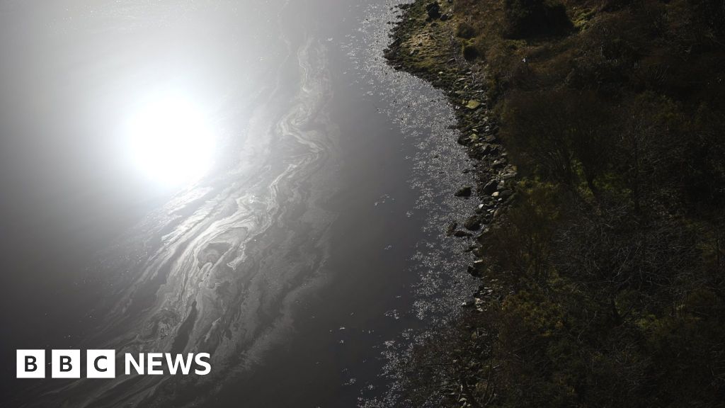 Lough Foyle is in UK territory - DUP - BBC News